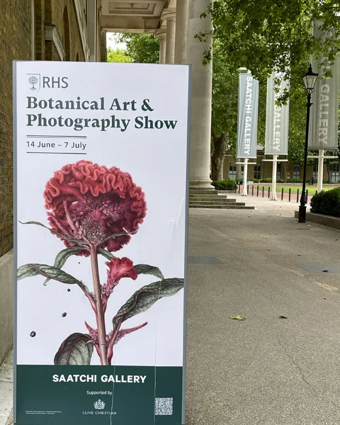 Exhibiting botanical art: How to win a medal at The Royal Horticultural Society’s (RHS ...