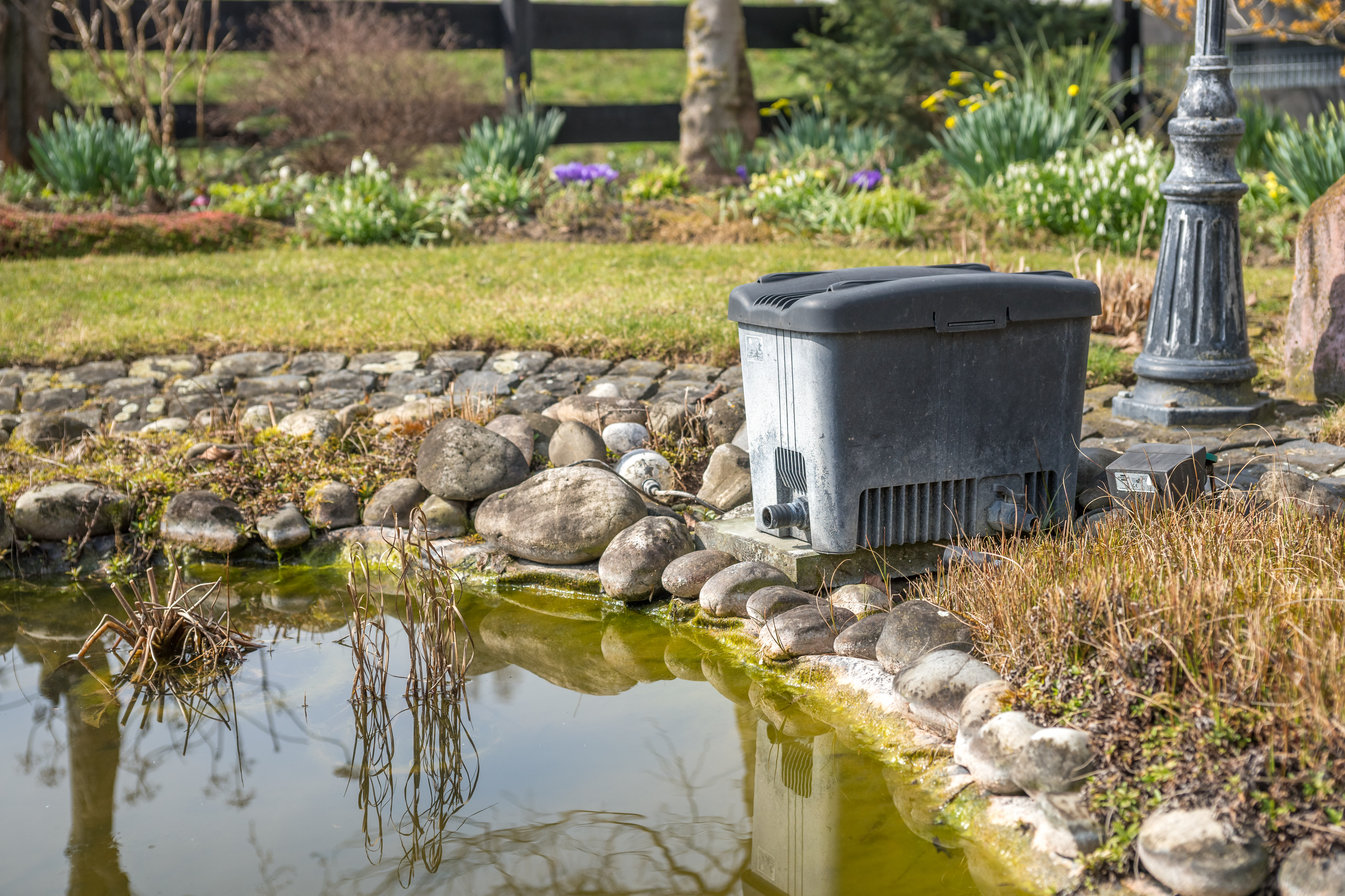 Which pond filter do I need for my garden pond? - Practical Fishkeeping