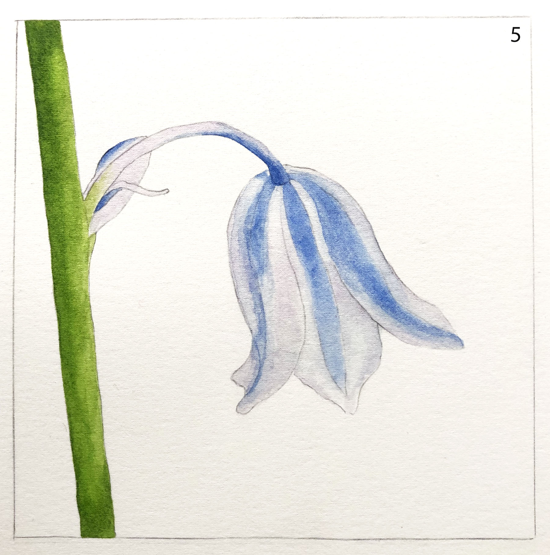 Contemporary Bluebell step by step tutorial