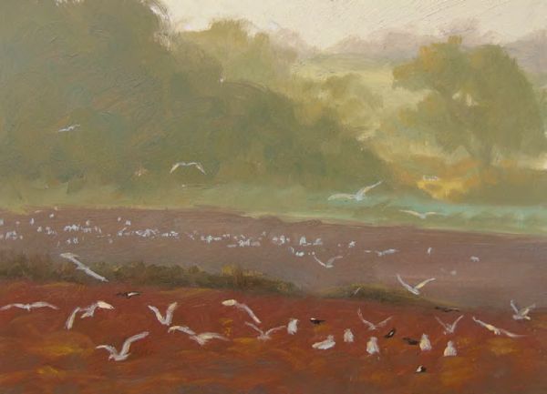 How to paint birds in flight