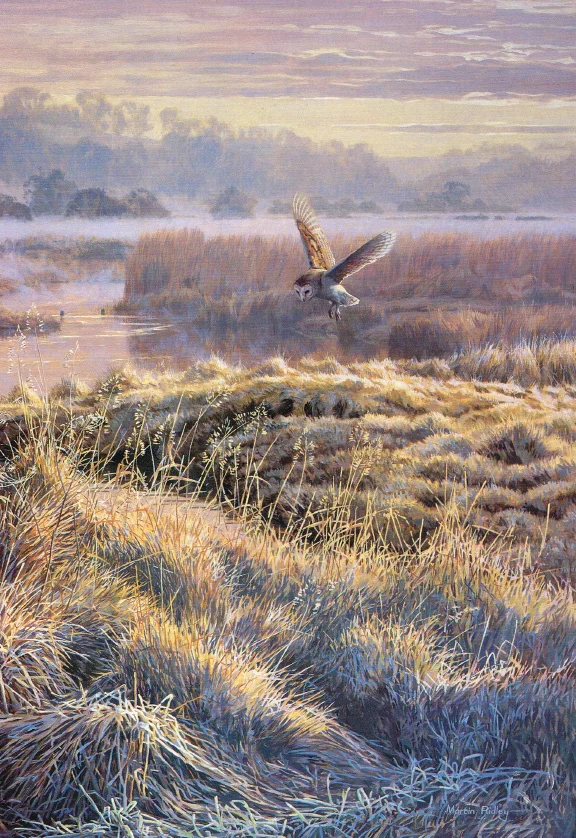 Martin Ridley Masterclass