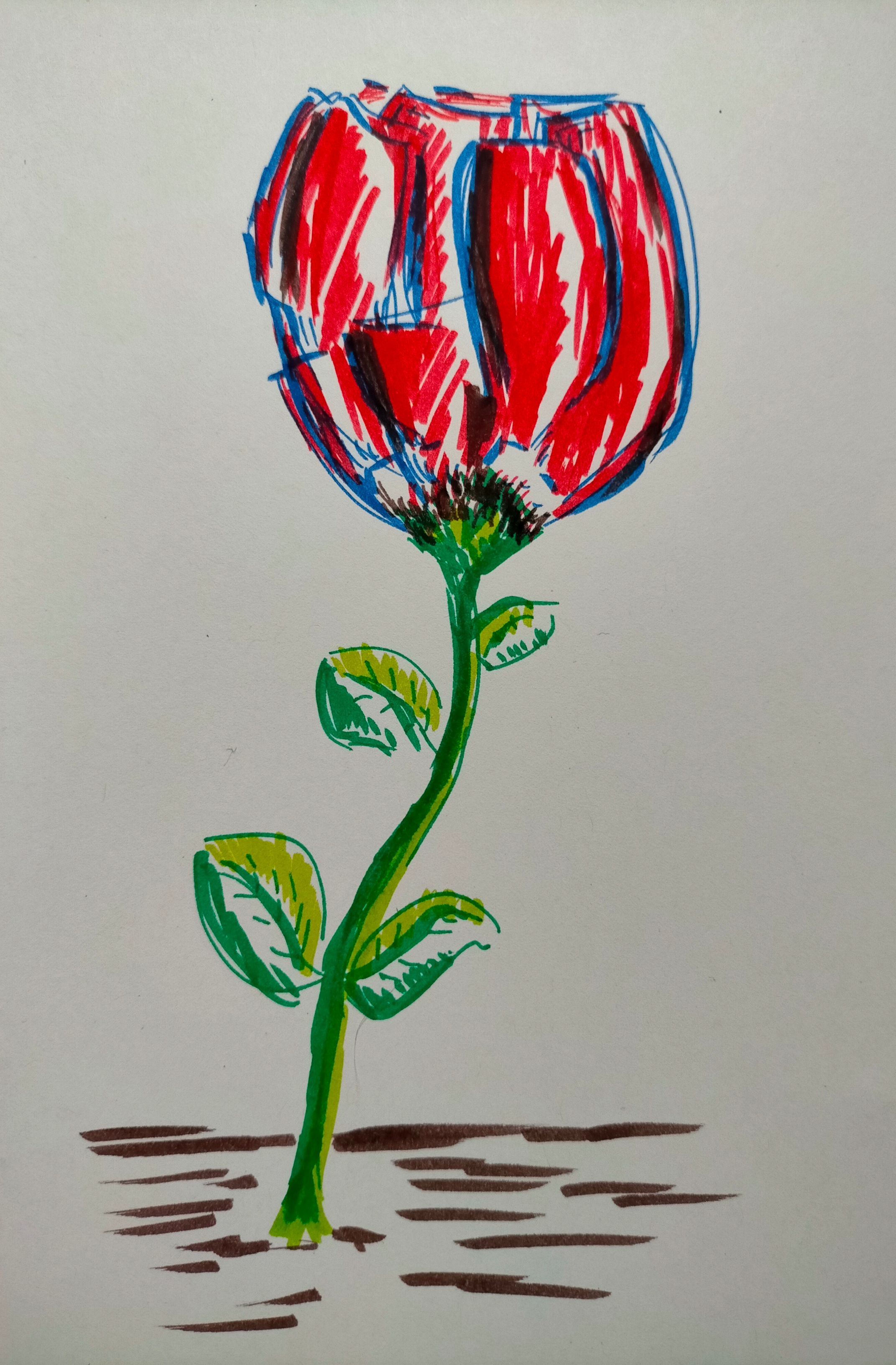 Rose (25-08-22) by Edward Fitzpatrick | 02 September 2025