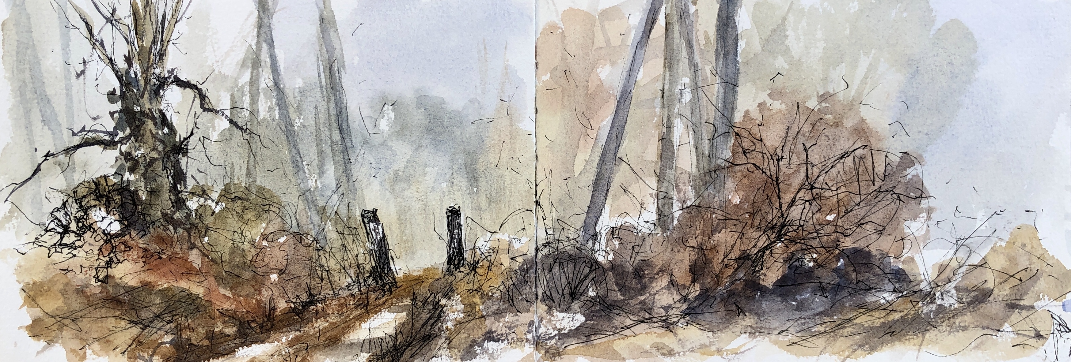 Rougham Woods by Fiona Phipps | 12 January 2026