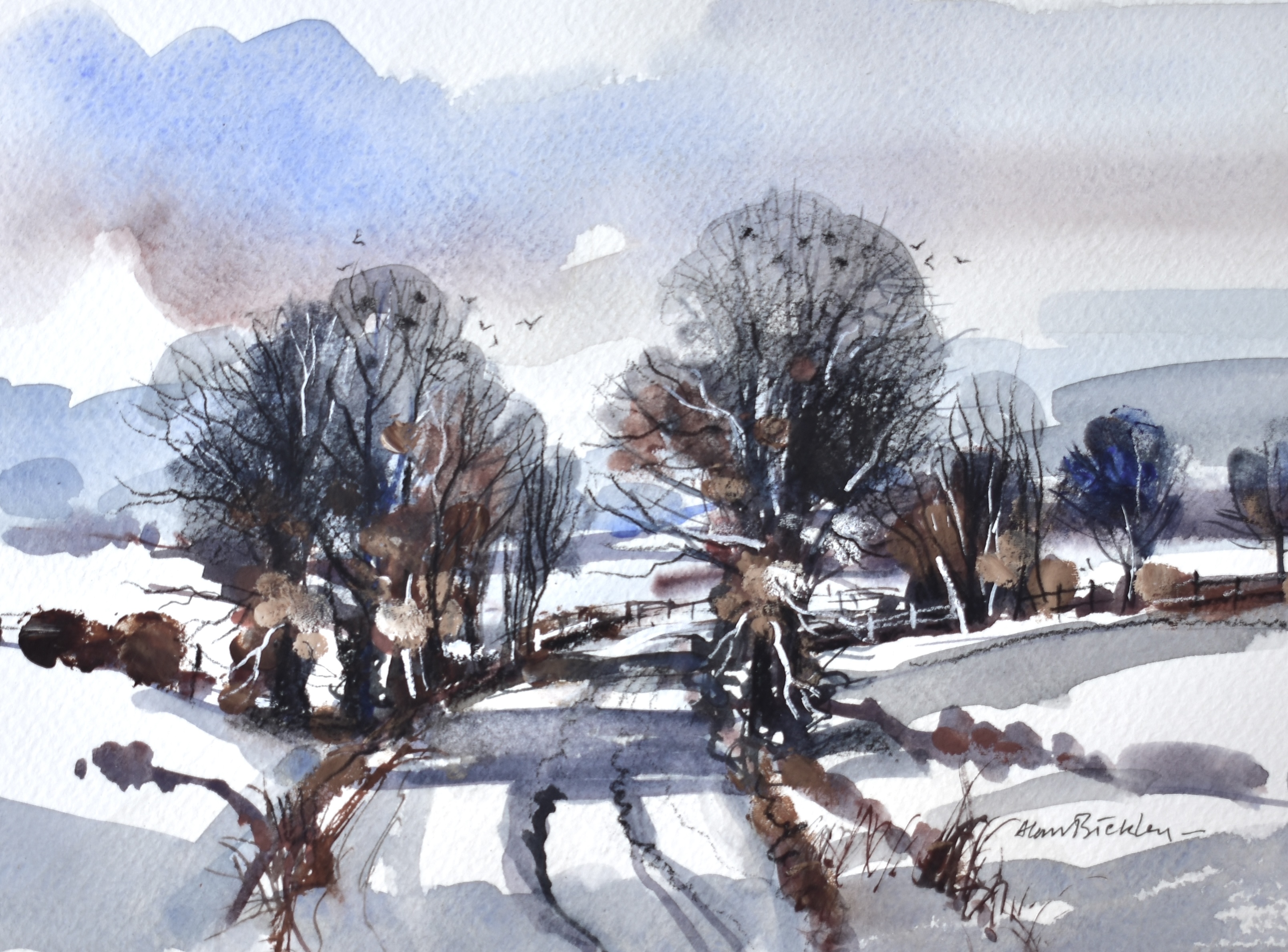 The Lane through to Milwich by Alan Bickley | 10 January 2024