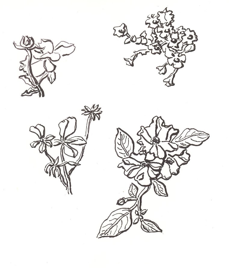 Four Floral vignettes by Donald McDonnell | 08 December 2025