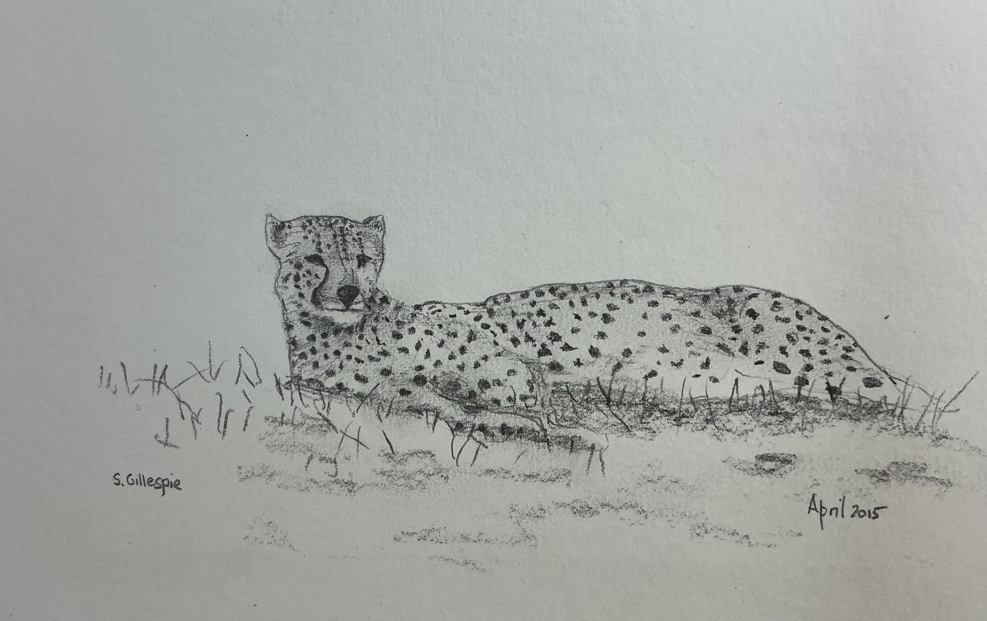 After the Hunt by Stephen Gillespie | 14 January 2026