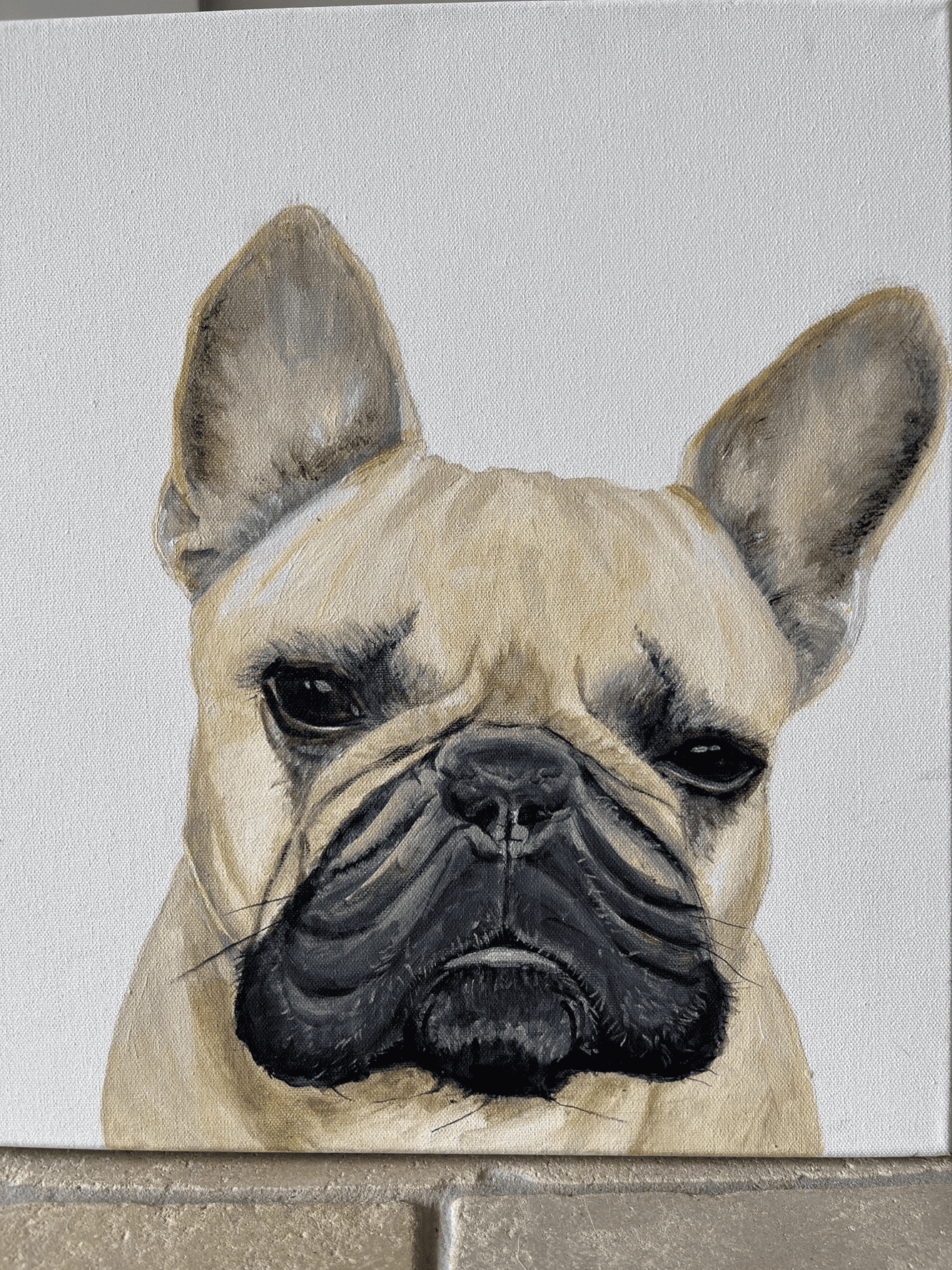 Nobby by Sally Macpherson