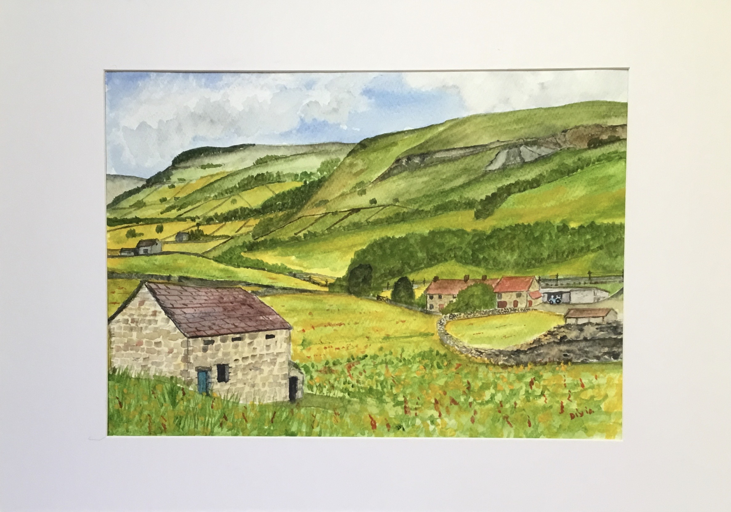 Fields of Gold by Paul (Dixie) Dean | 28 January 2026