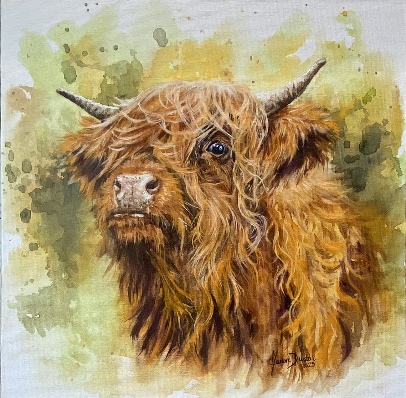 ‘Bully Boy’ Oil over watercolour by Marion Dutton Professional Artist ...