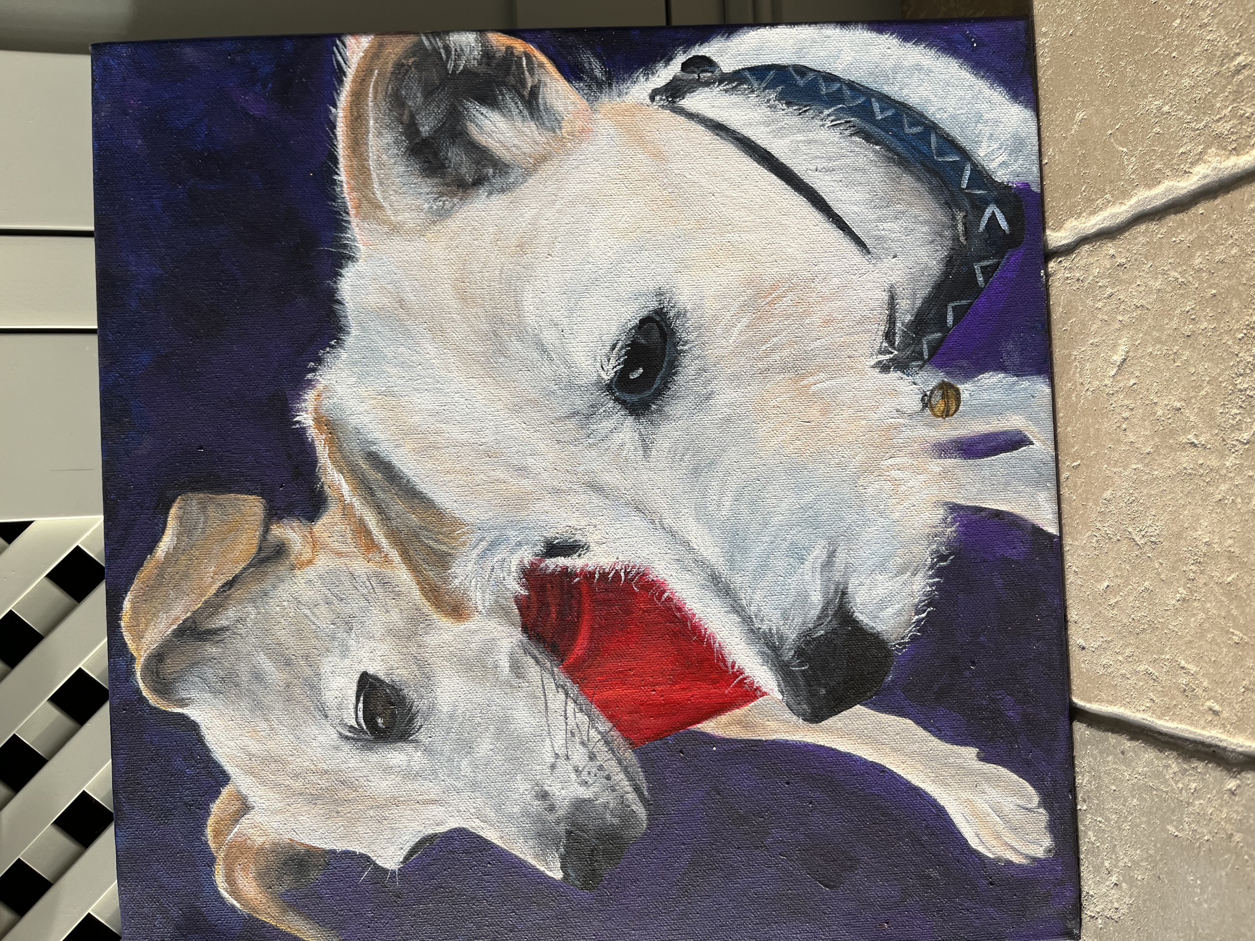 Herbie and Thistle by Sally Macpherson