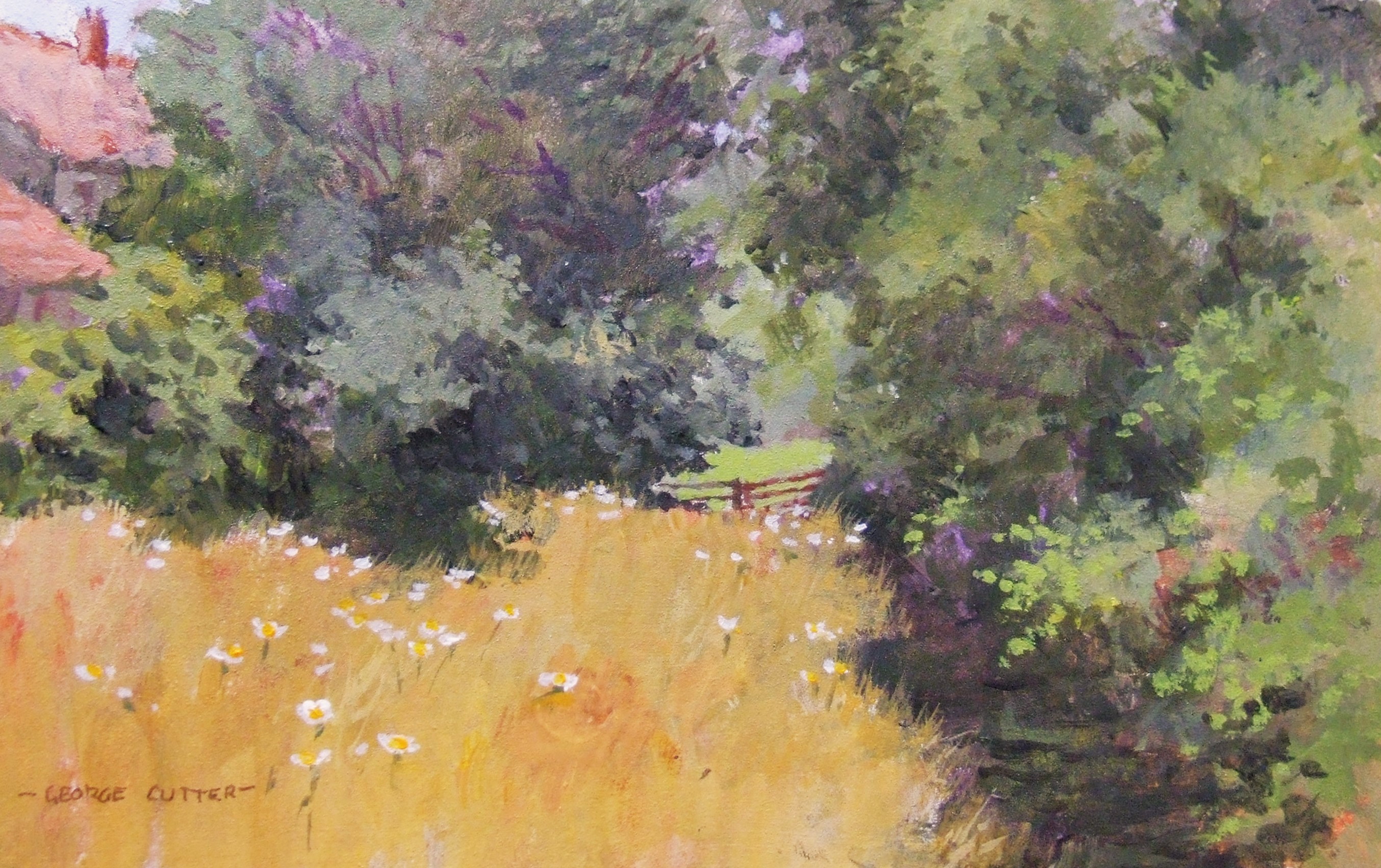 Ox Eye Daisies by George Cutter | 24 February 2024