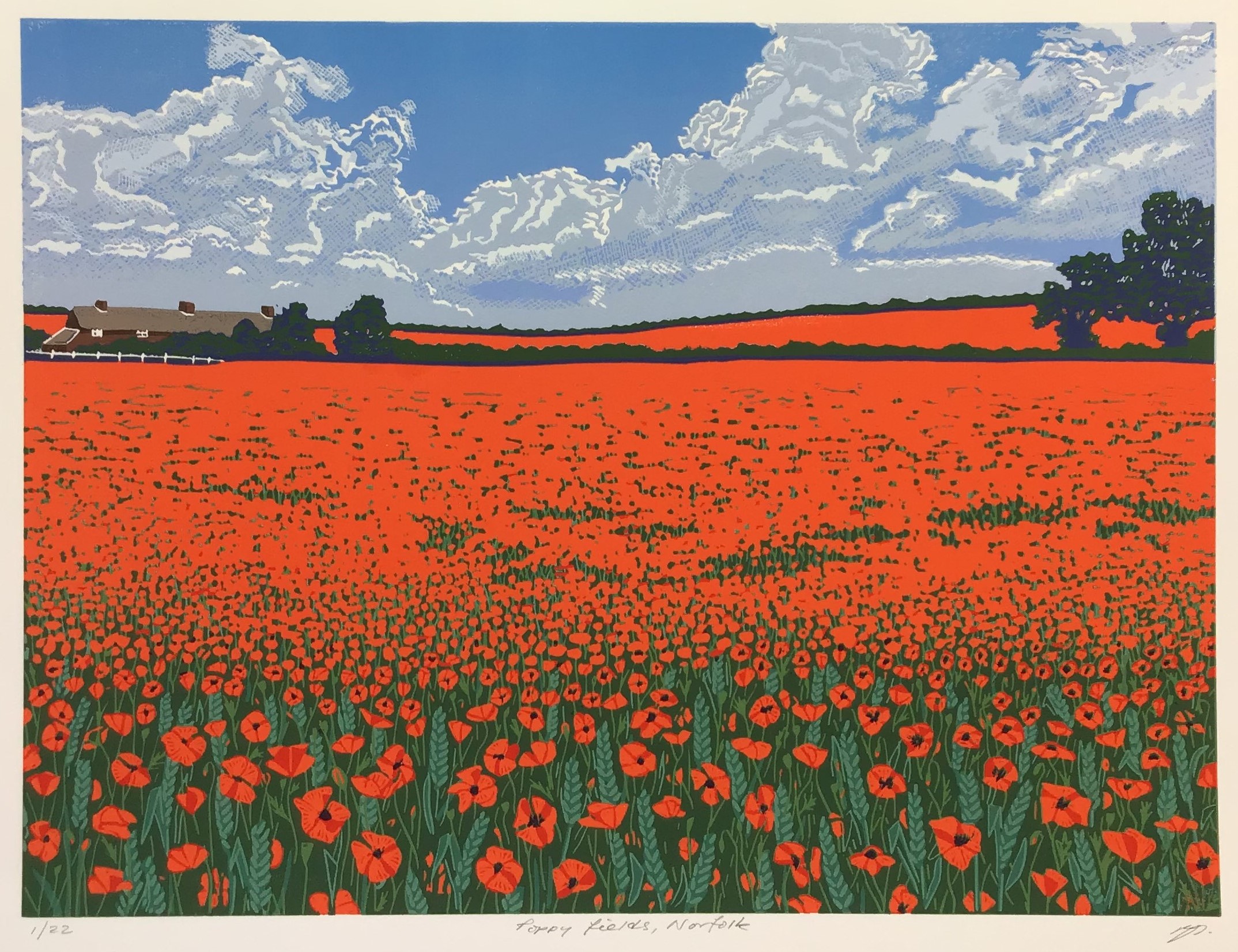 Poppy fields, Norfolk by Margaret Mallows | 02 July 2020
