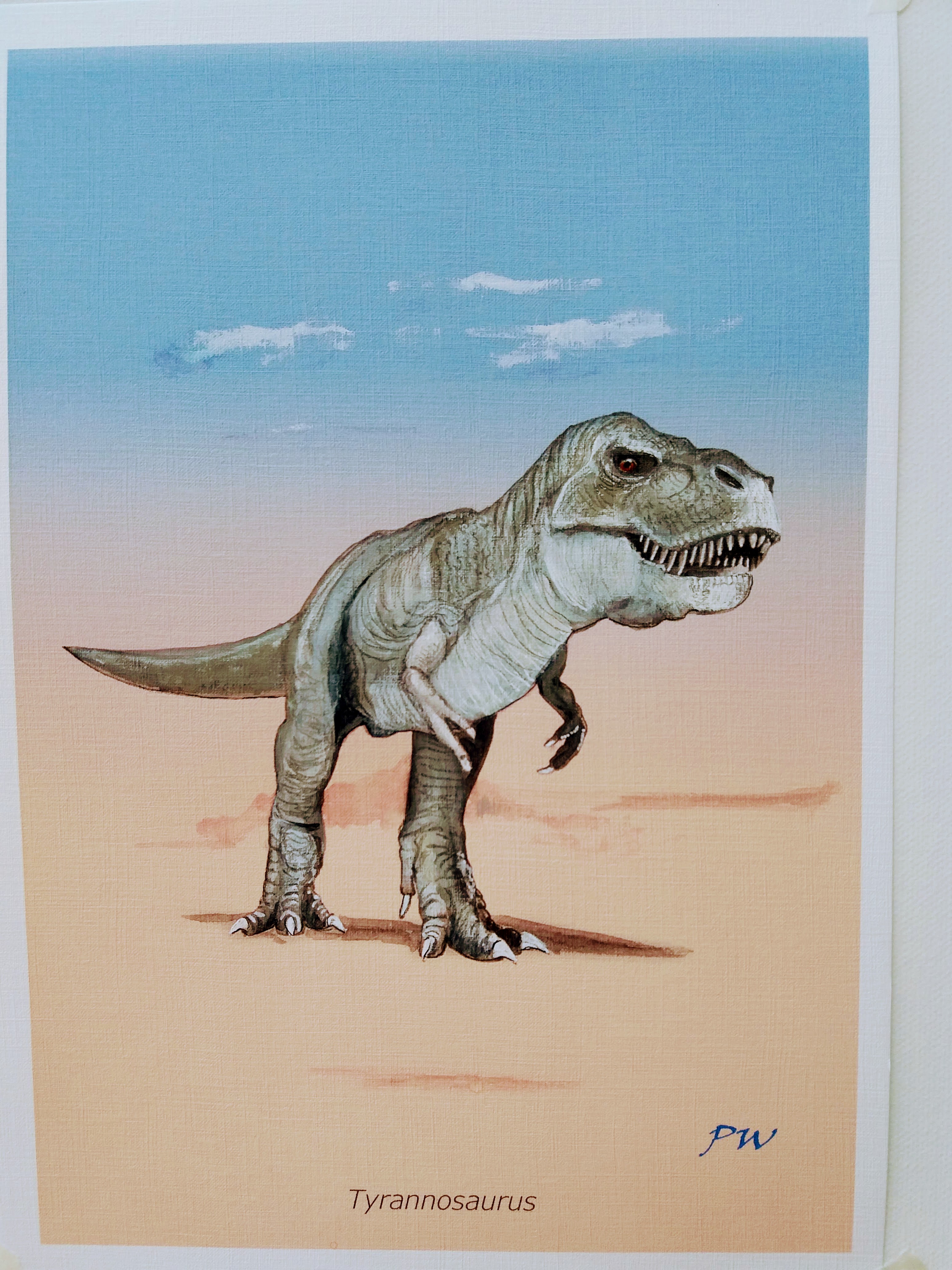 T Rex by peter winn | 18 July 2023