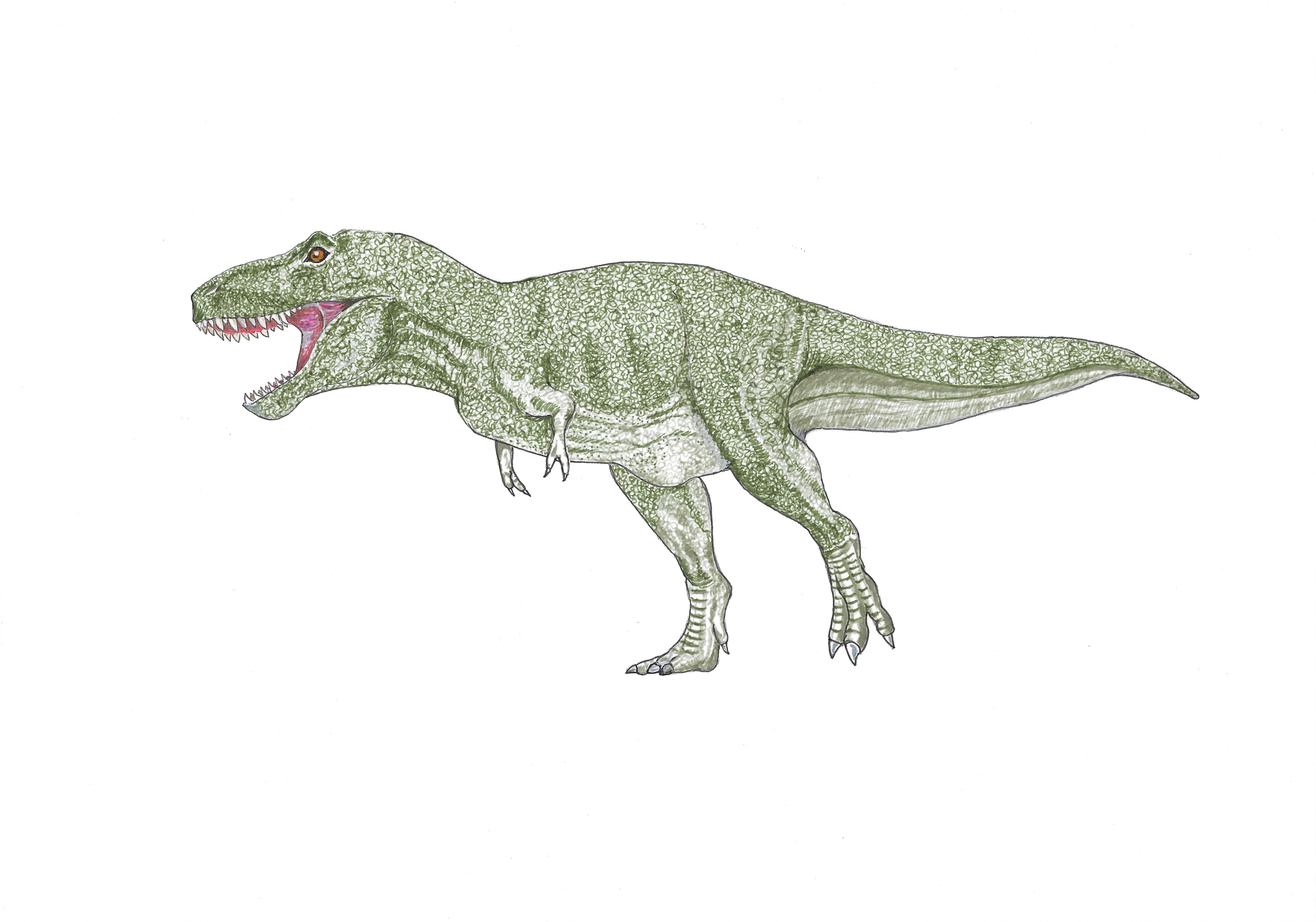 TYRANNOSAURUS REX by peter winn | 15 February 2023