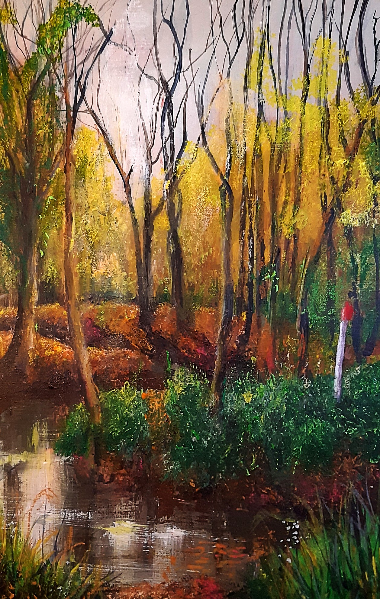 Winding Woodland Stream by Anthony Stubbs | 10 December 2025