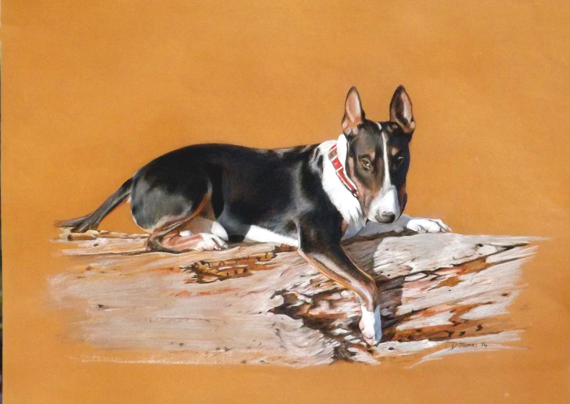 Zeus by David James | 16 January 2026