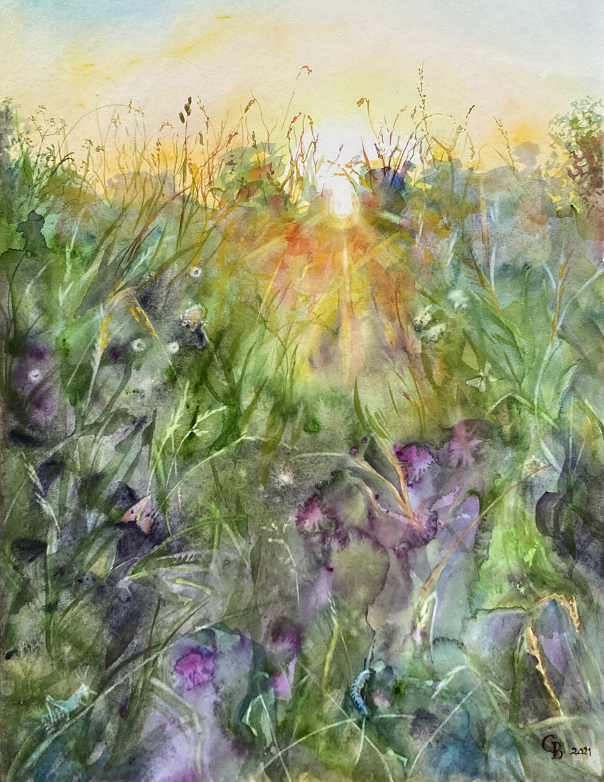 Field of gold by Catherine Beale | 14 June 2022