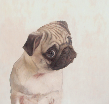 Contemporary Old Master - The Photographically Accurate Animal ...