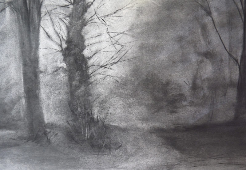 How to draw winter trees