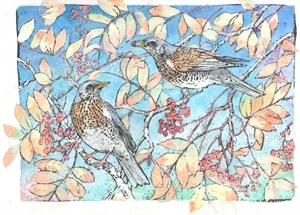 How to Paint Fieldfares using Indian Ink and Gouache with Emma Faull