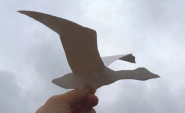 How to paint birds in flight