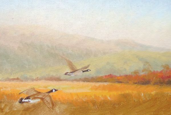 How to paint birds in flight