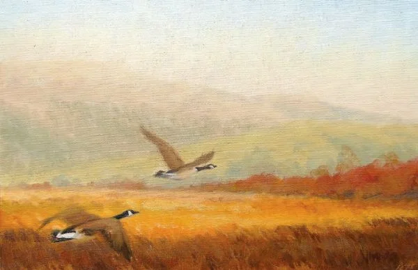 How to paint birds in flight