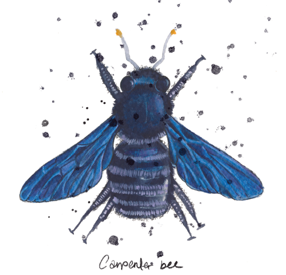 How to paint a bee in watercolour - easy step by step demonstration