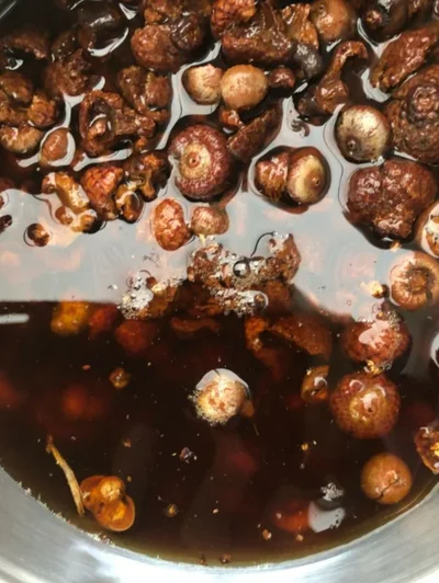 A short guide to making your own historical inks