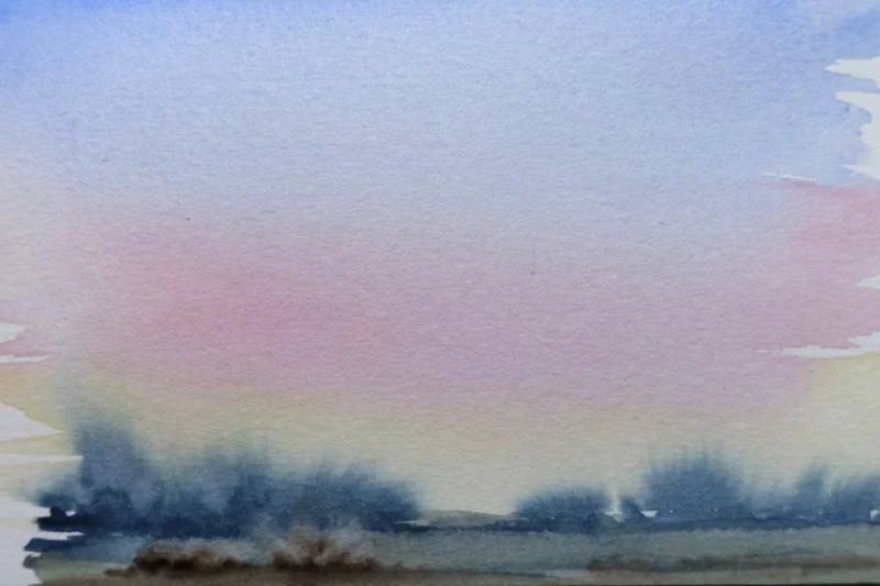 Watercolour | Rosa Watercolours