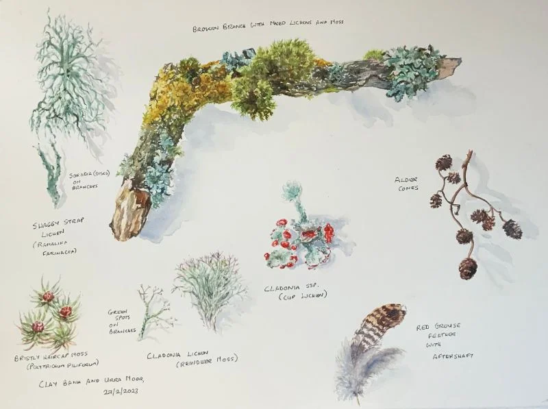 Painting nature in detail