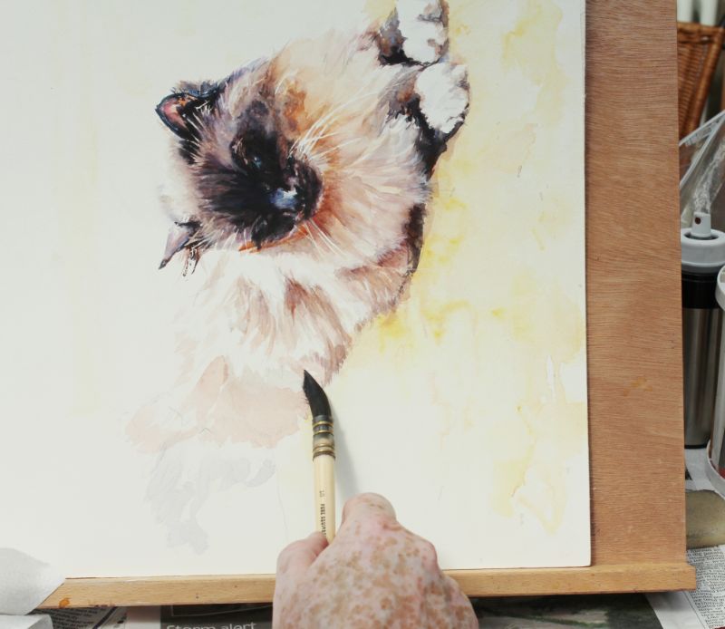 How draw and paint animals