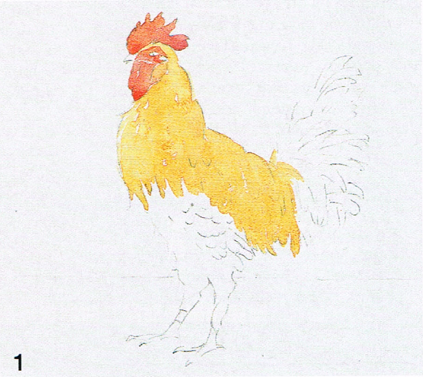 Let’s Start with Art, painting a cockerel in watercolour with June Crawshaw