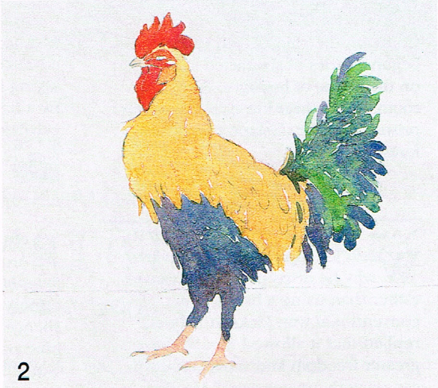 Let’s Start with Art, painting a cockerel in watercolour with June Crawshaw