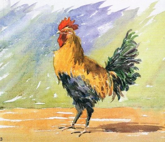 Let’s Start with Art, painting a cockerel in watercolour with June Crawshaw