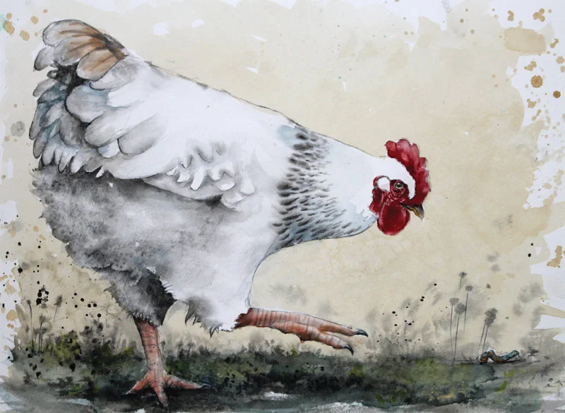 How to paint a white chicken