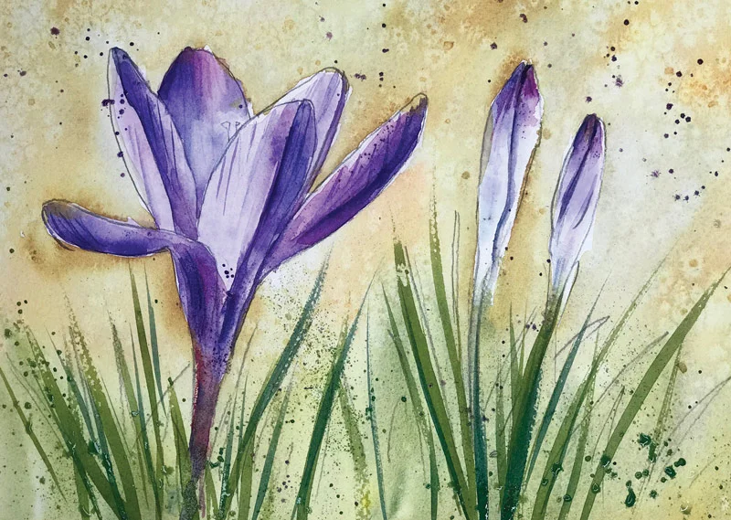 How to paint crocus in watercolour