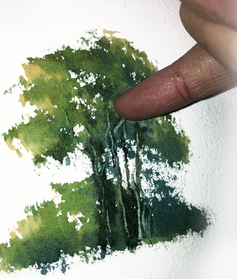 Watercolor pictures to paint store