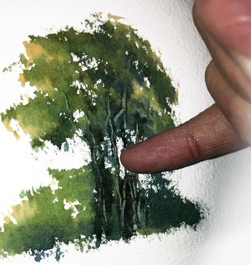 Five ways of painting simple trees in watercolour