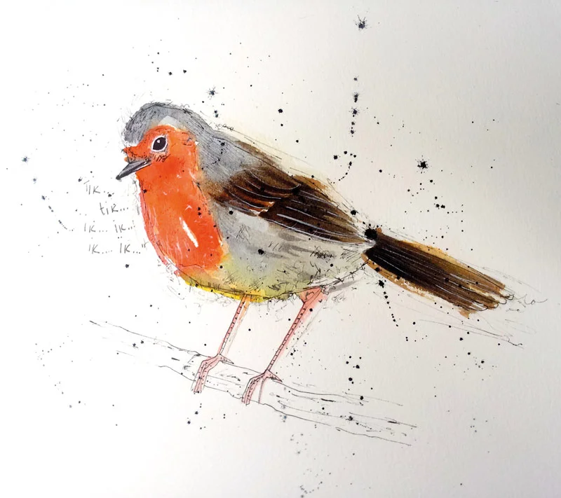 How to paint a robin in watercolour
