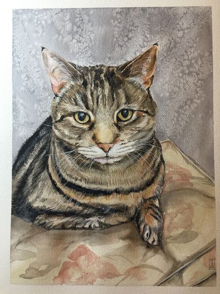 How to paint a watercolour pet portrait