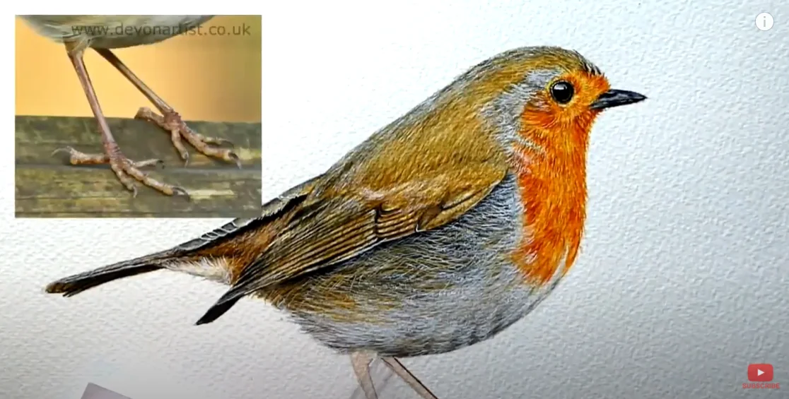 News | How to paint a robin in watercolour with Paul Hopkinson
