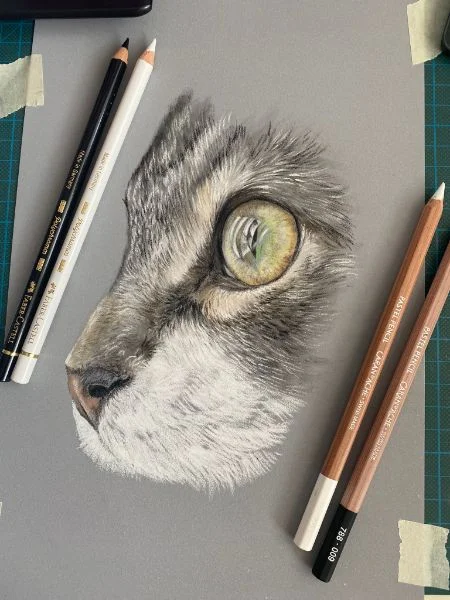 easy pastel pencil drawing