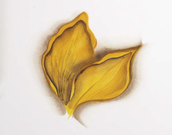 Basic Techniques of One-Stroke Flower Petal Painting