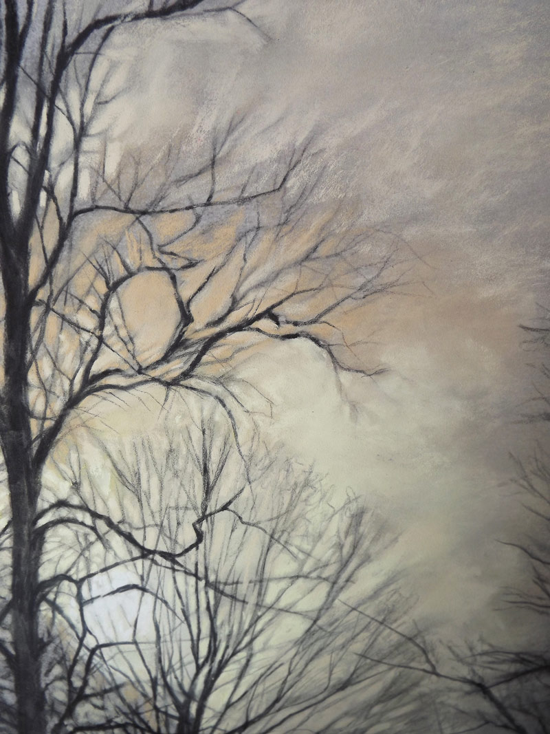 How to draw winter trees