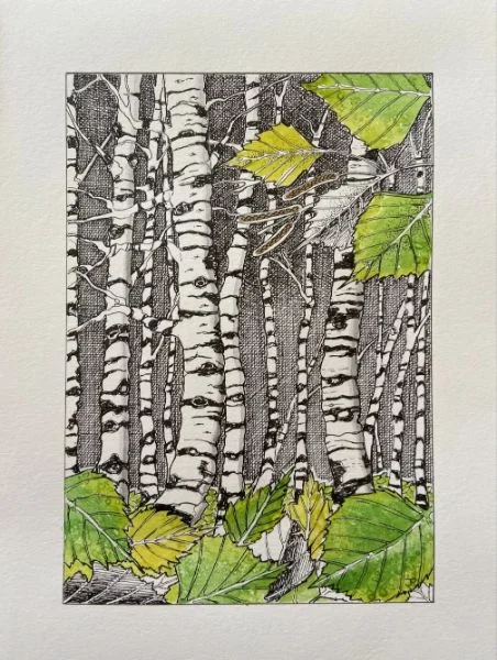 Drawing the natural world in pen and ink