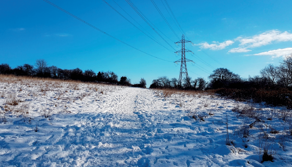 How to paint a winter landscape from a summer photo