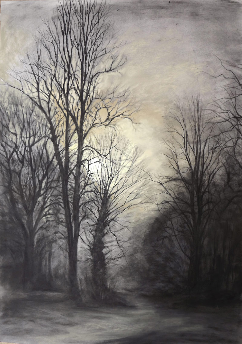 How to draw winter trees