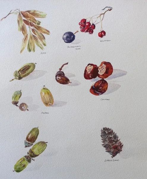 Painting nature in detail