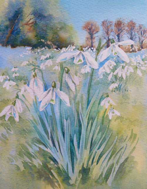 How to Paint Snowdrops in Watercolour with Julie King